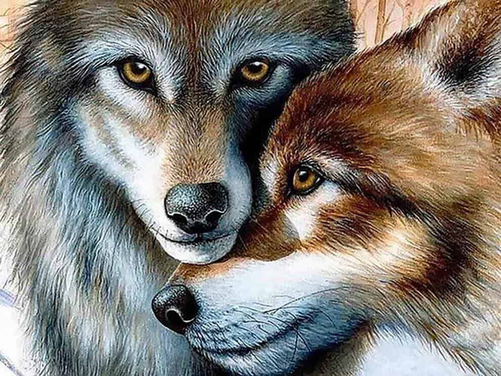Diamond Painting Wolves Hugging – Diamonds Wizard | The Best Diamond ...