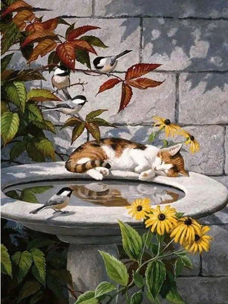 Diamond Painting Sleeping Cat In A Birdbath – Diamonds Wizard | The ...