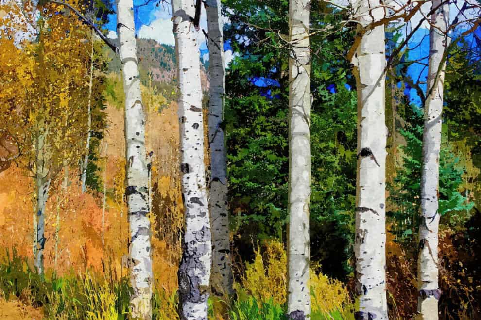 Diamond Painting Autumn Aspens – Diamonds Wizard | The Best Diamond ...