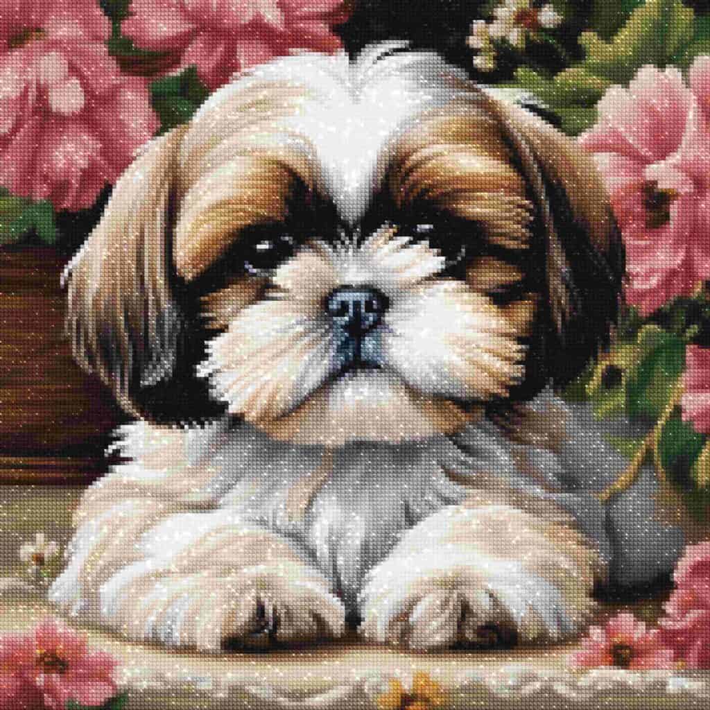 Diamond Painting Shih Tzu Sweetness – Diamonds Wizard | The Best Diamond Painting Kits